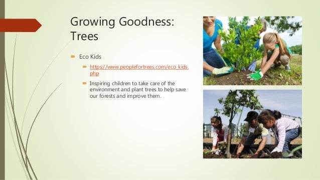 Growing Goodness with The Giving Tree