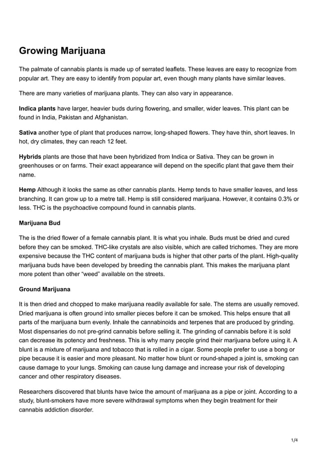 Growing Marijuana.pdf