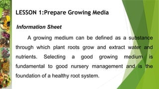 POWER POINT PRESENTATION ON Growing Media - PPT-Q3-LAS 1.pptx