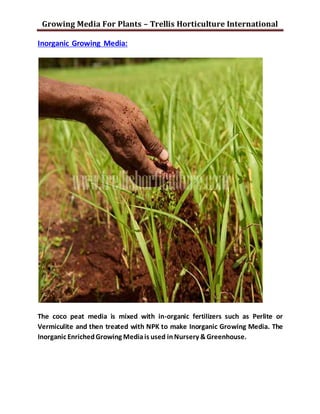 Growing media for plants | DOCX