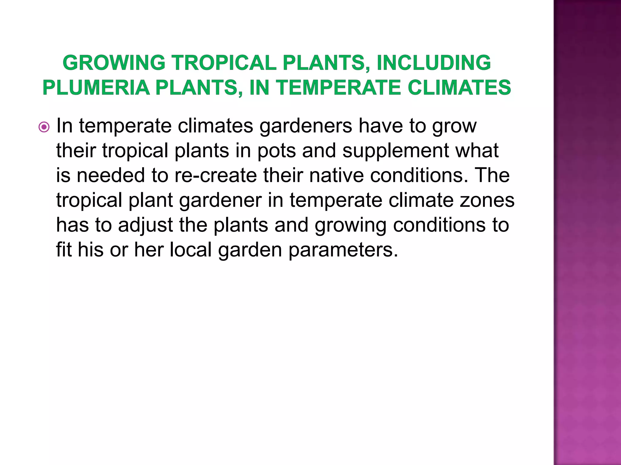 Growing Tropical Plants, Including Plumeria Plants, In Temperate ...