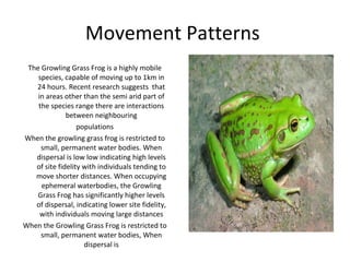 Growling grass frog | PPT