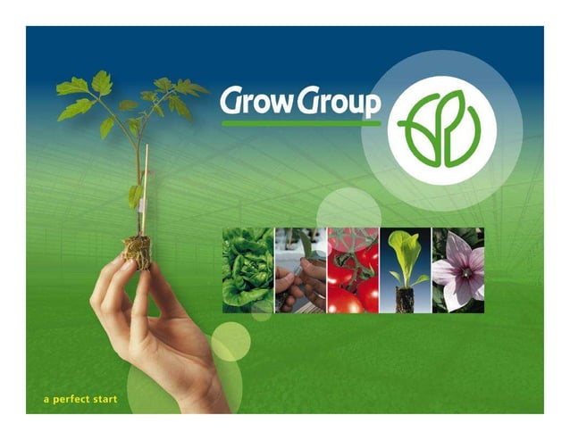 Grow rasad znacaj_kvalitetnog_rasada | PPT