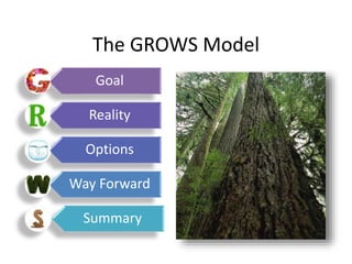 Grows Model | PPTX