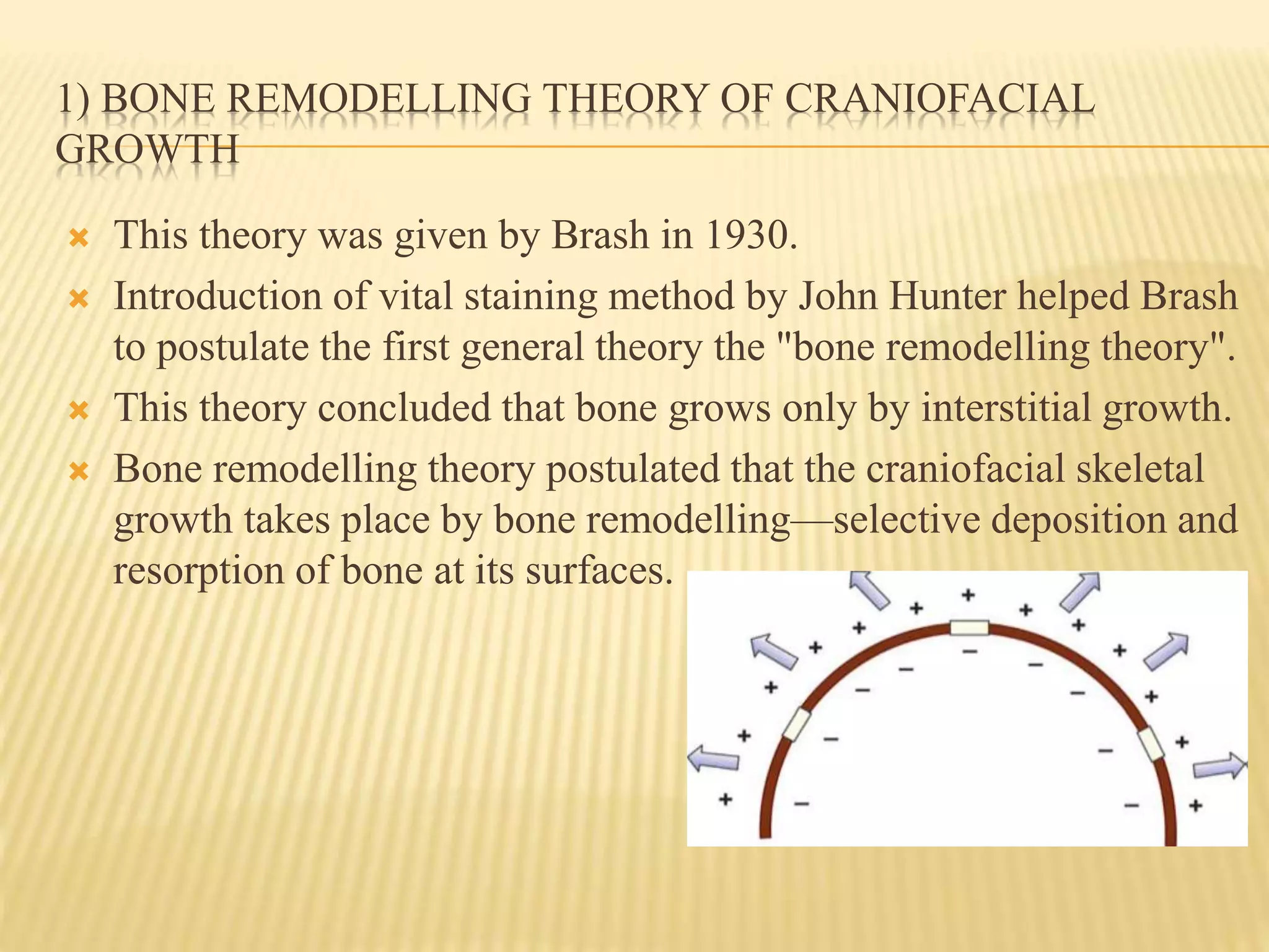 Theories of growth, mechanism of bone growth and developmental ...