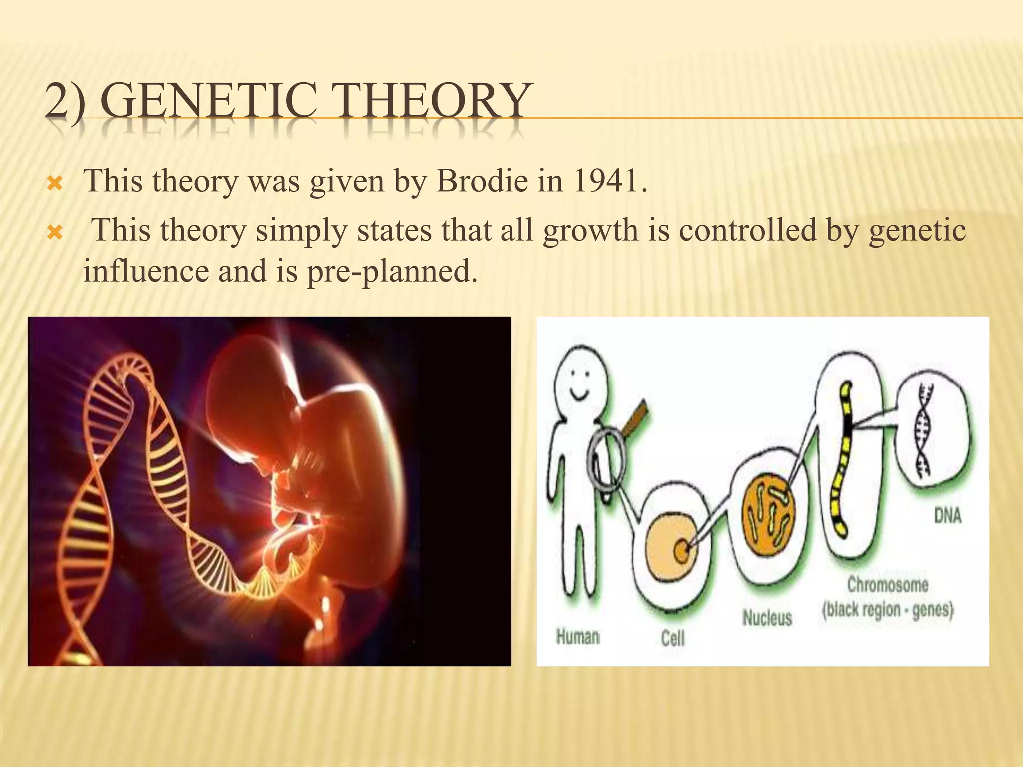 Theories of growth, mechanism of bone growth and developmental ...
