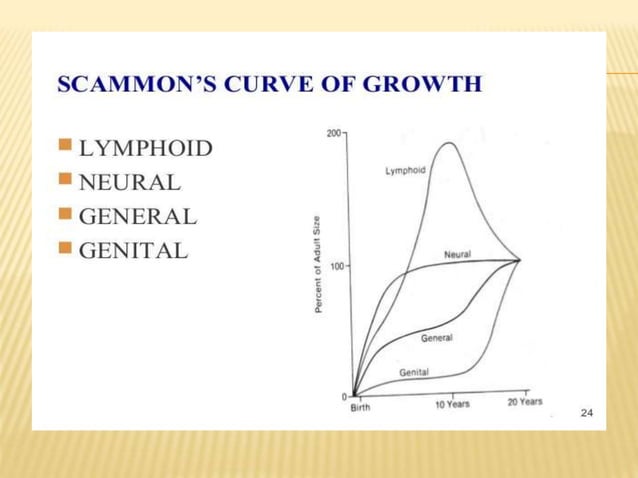 Theories of growth, mechanism of bone growth and developmental ...
