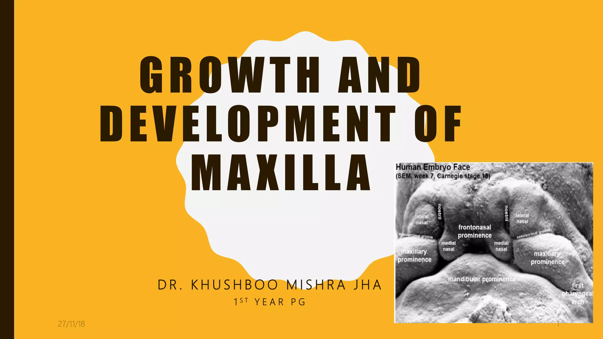 Growth and development of maxilla | PPTX