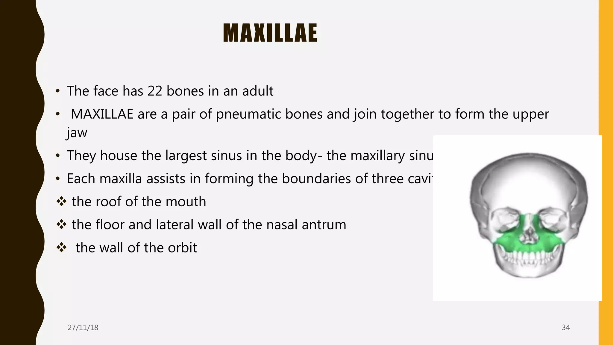 Growth and development of maxilla | PPTX
