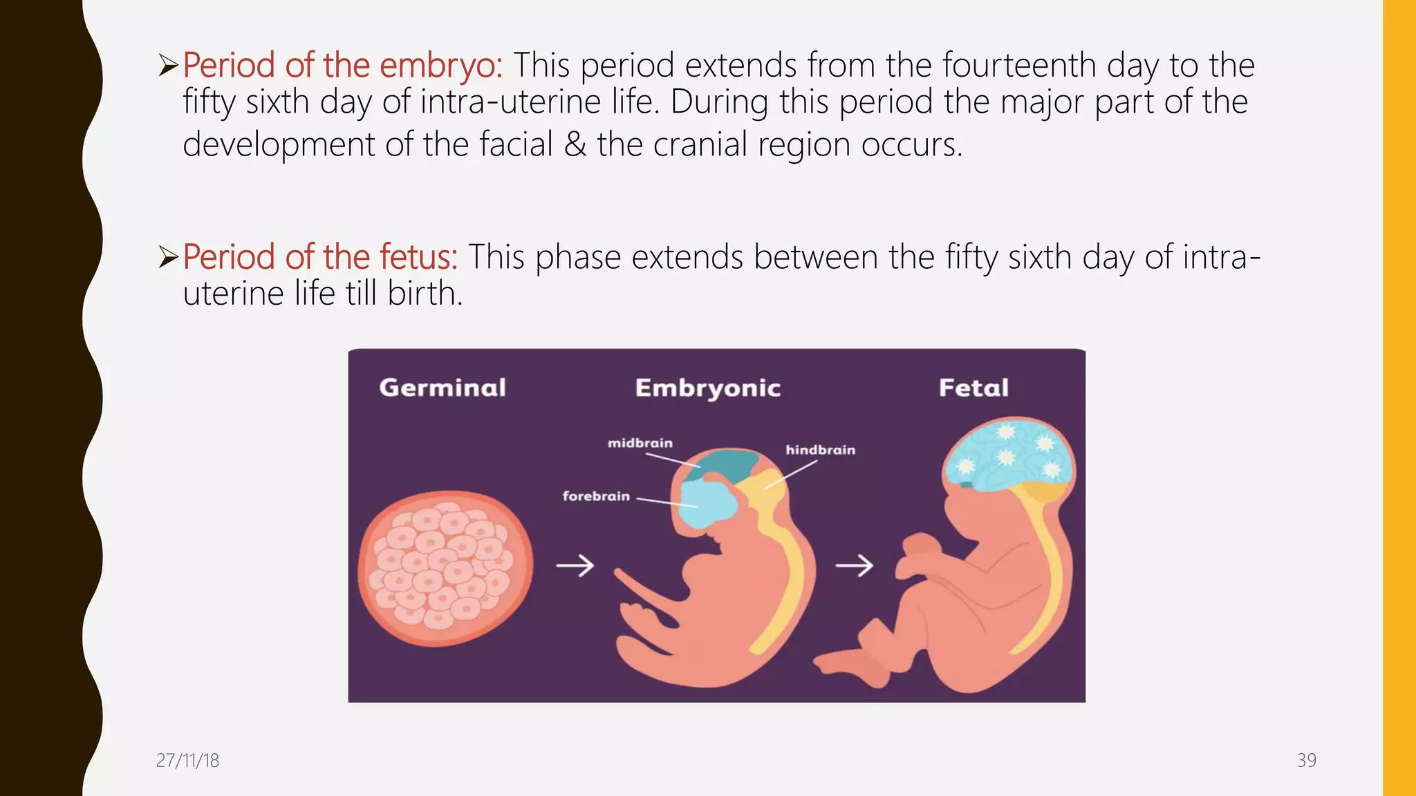 Growth and development of maxilla | PPTX
