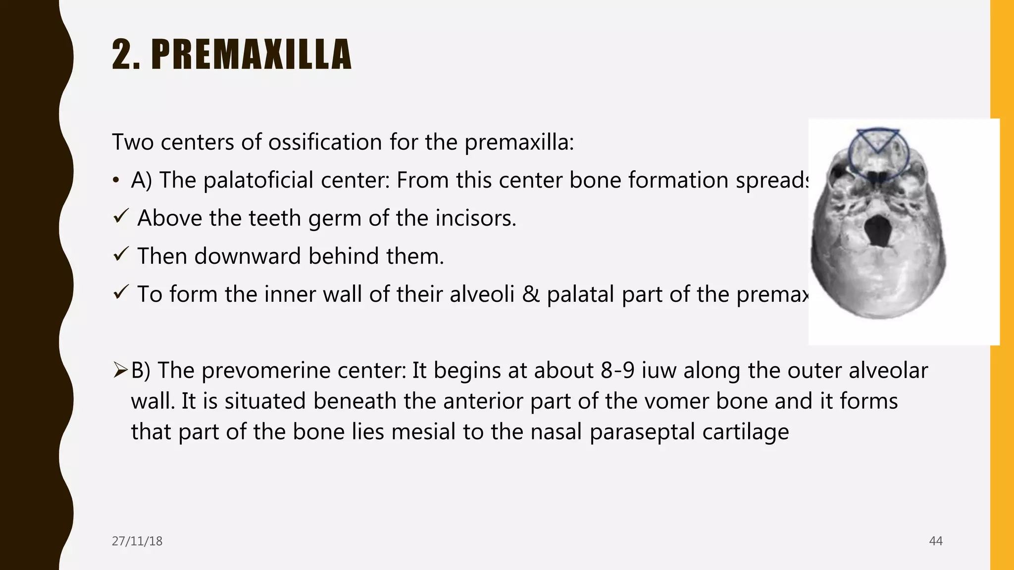 Growth and development of maxilla | PPTX