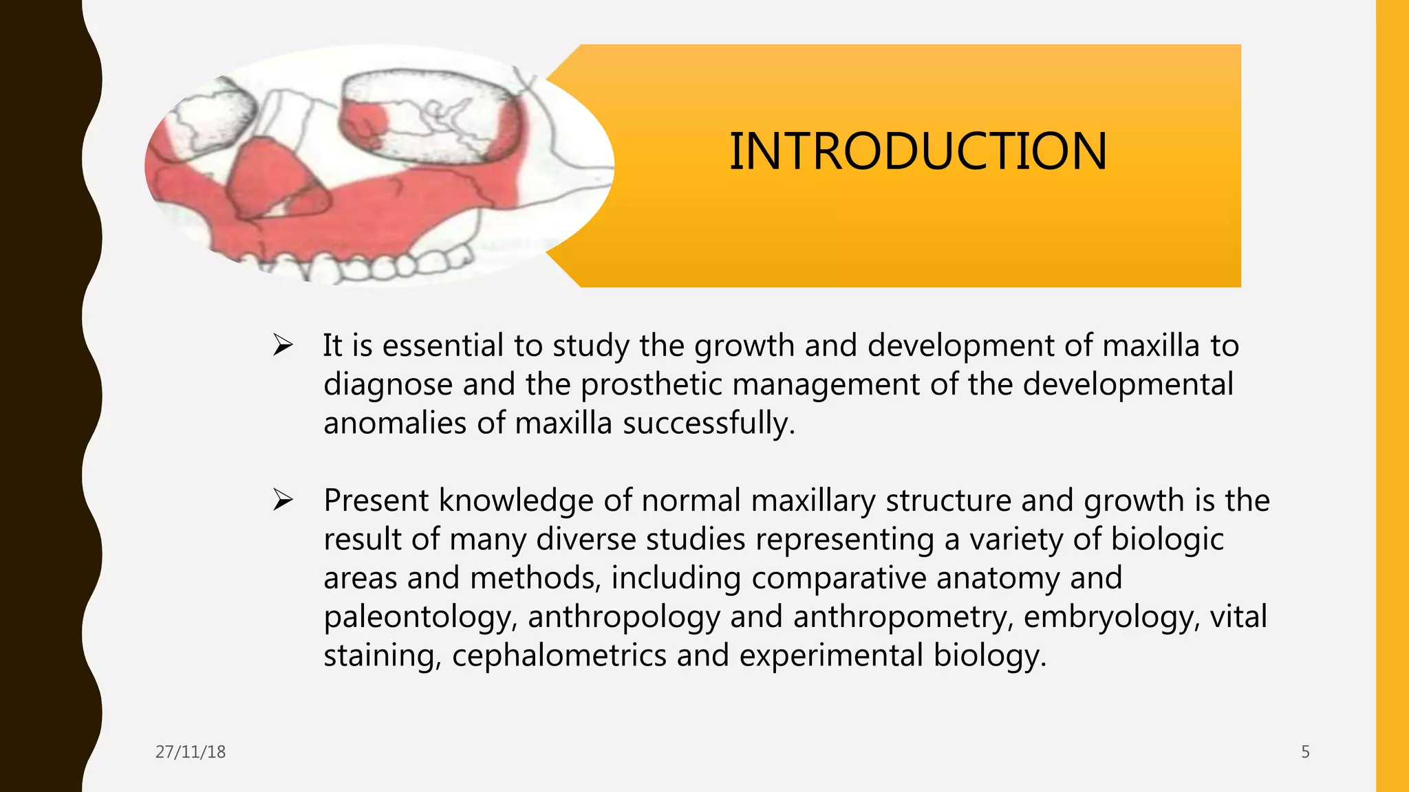 Growth and development of maxilla | PPTX