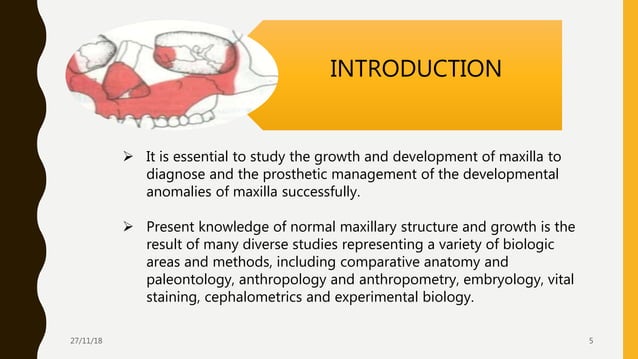 Growth and development of maxilla | PPTX