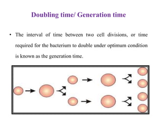 Microbial Growth | PPTX