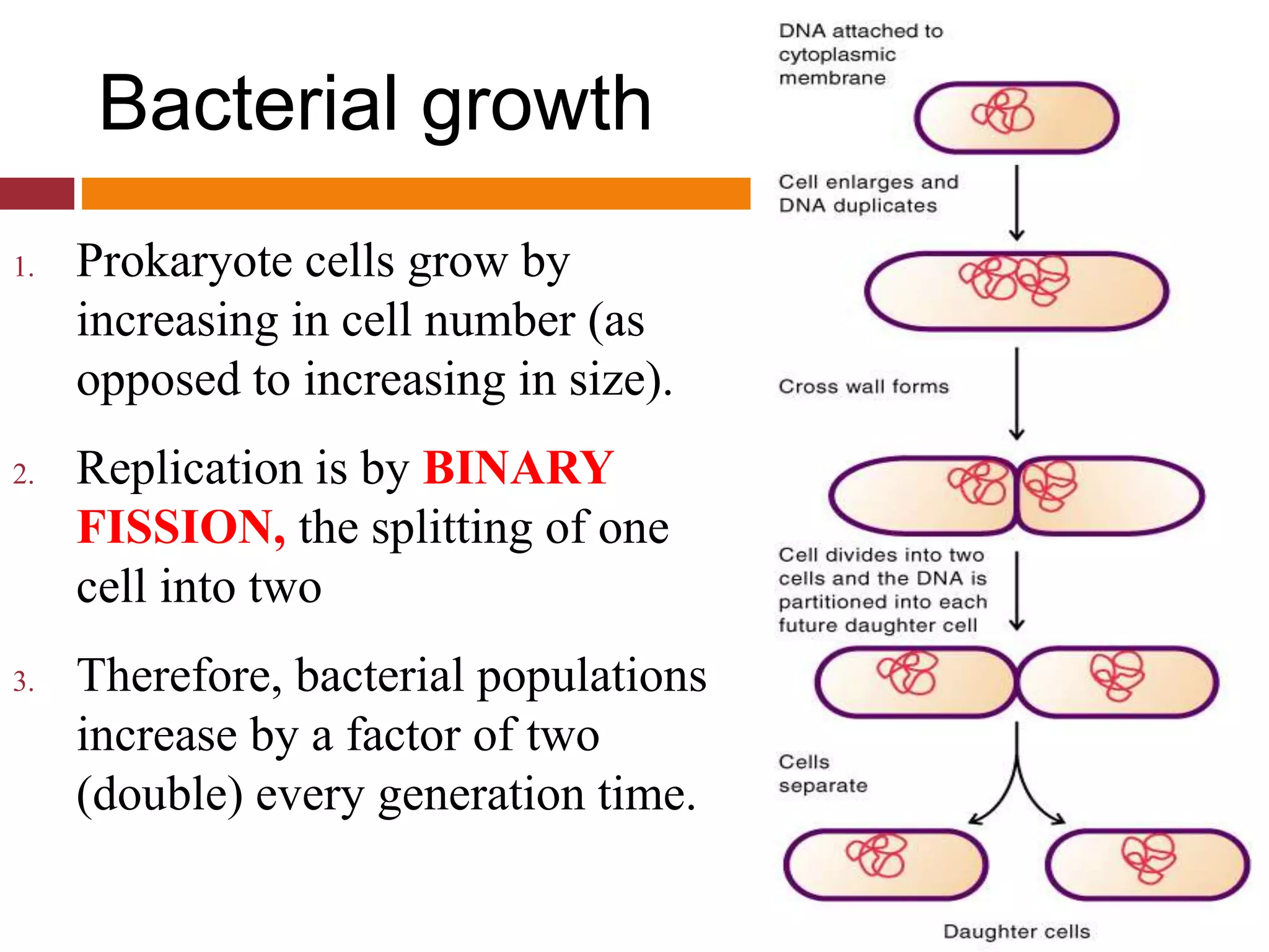 Bacterial Growth and Nutrition | PPT
