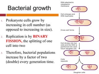 Bacterial Growth and Nutrition | PPT