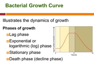 Bacterial Growth and Nutrition | PPT