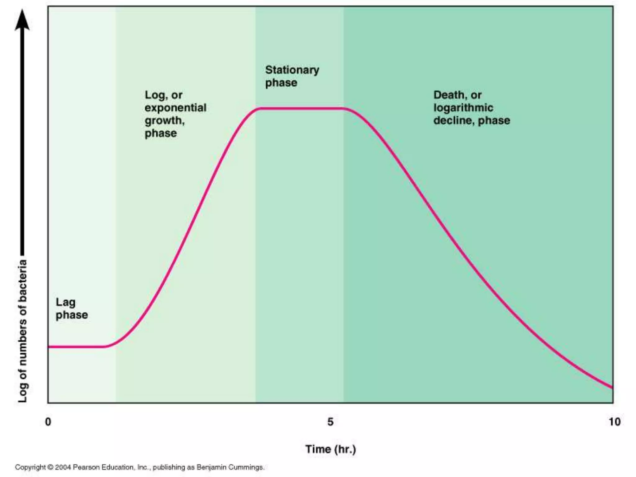 bacterial Growth curve and nutrition of bacteria.ppt