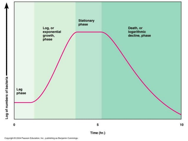 bacterial Growth curve and nutrition of bacteria.ppt