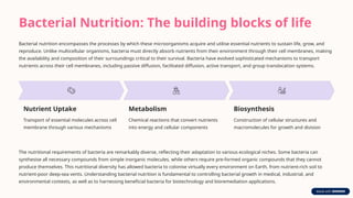 Comprehensive Insights into Bacterial Growth and Nutrition: Microbial ...