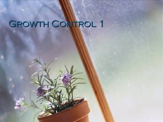 Growth Control 1 | PPT
