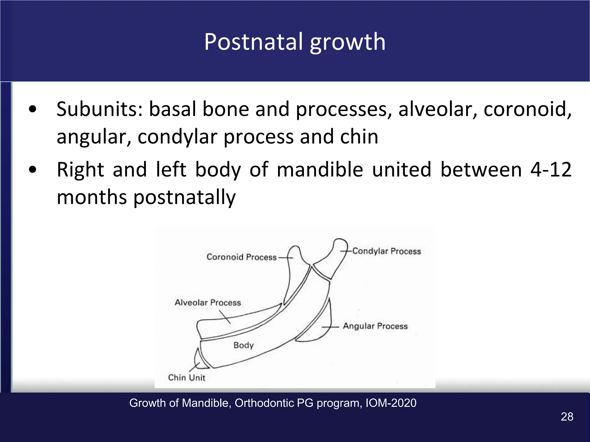 the Growth-of-Mandible in orthodontics ppt | PPT