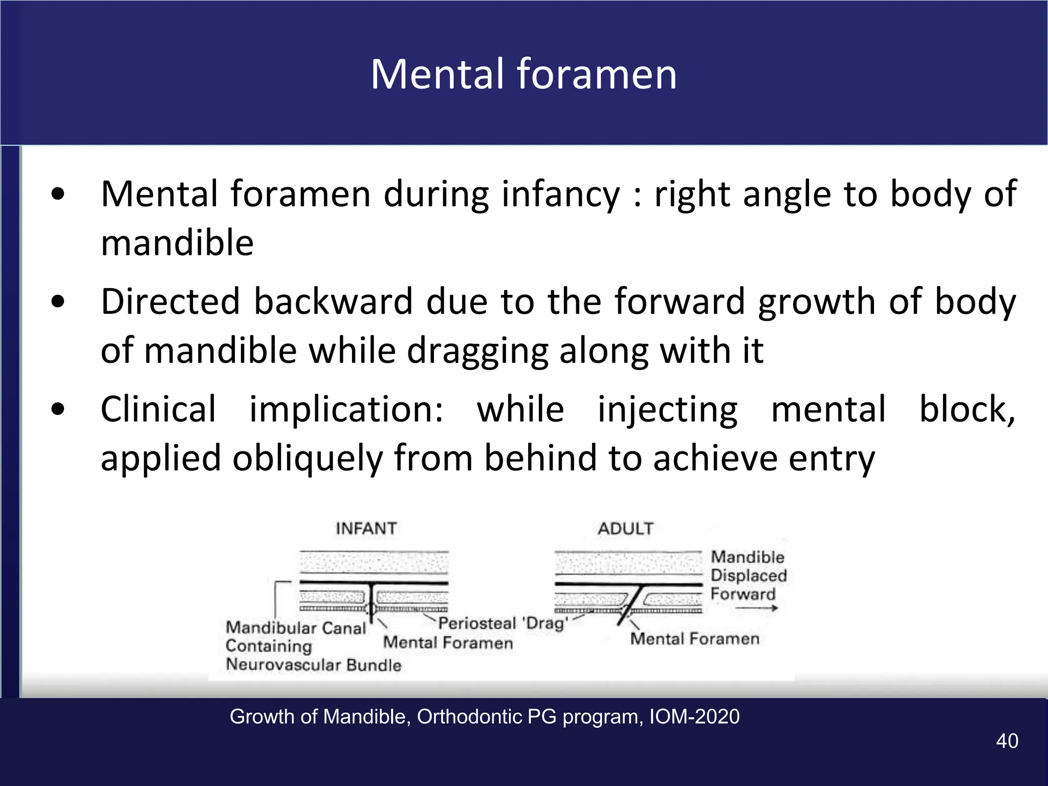 the Growth-of-Mandible in orthodontics ppt | PPT