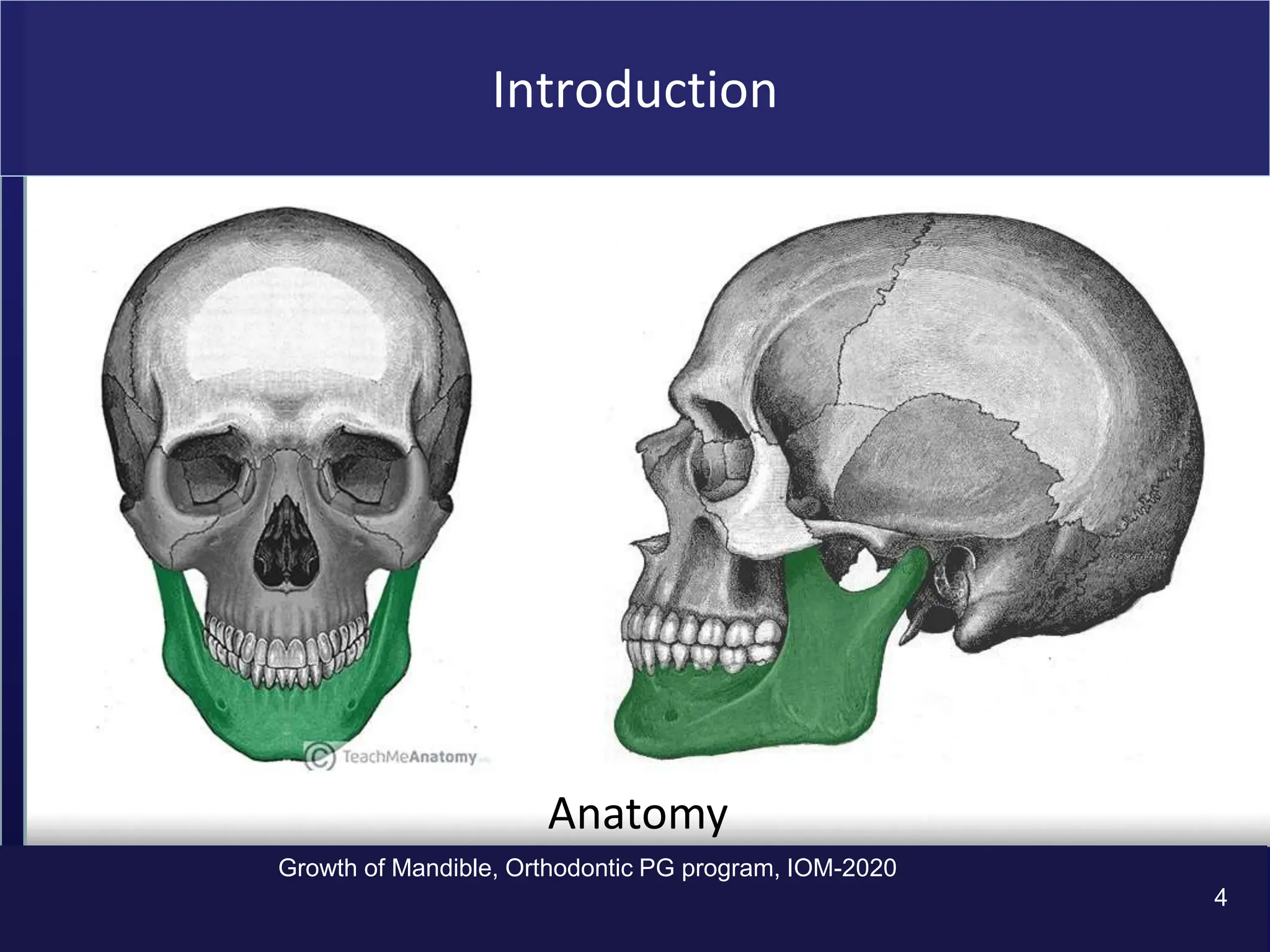the Growth-of-Mandible in orthodontics ppt | PPT