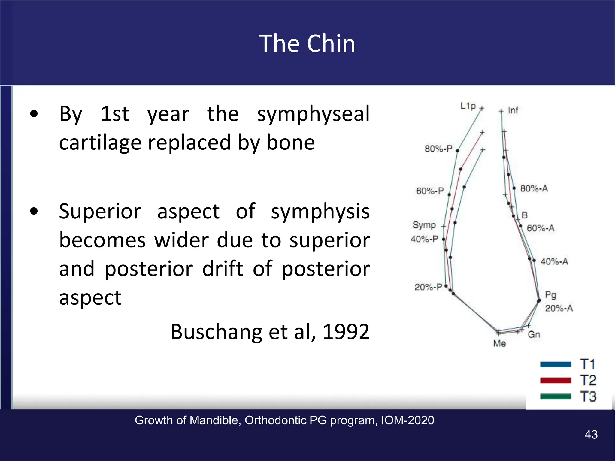 the Growth-of-Mandible in orthodontics ppt | PPT