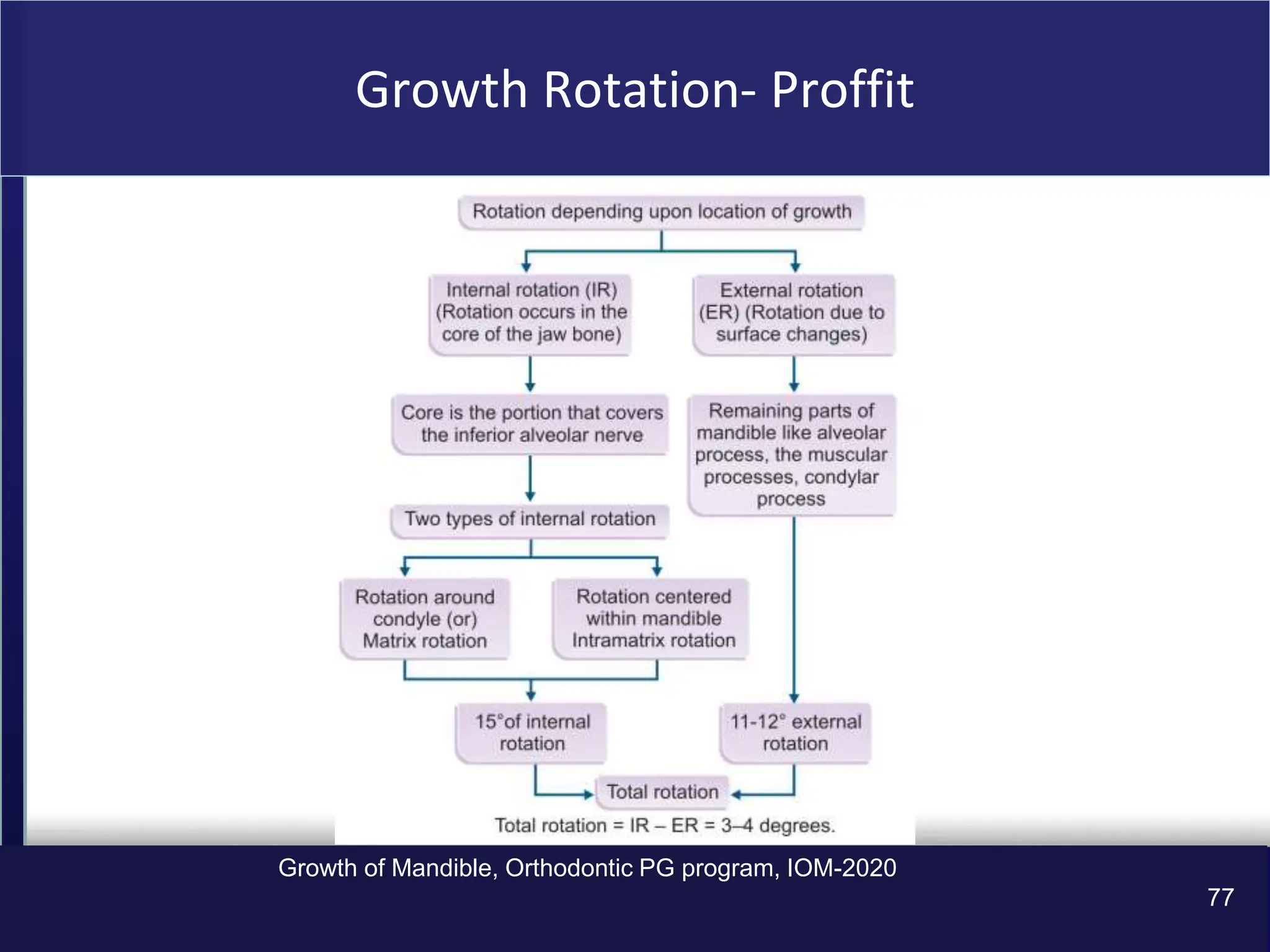 the Growth-of-Mandible in orthodontics ppt | PPT
