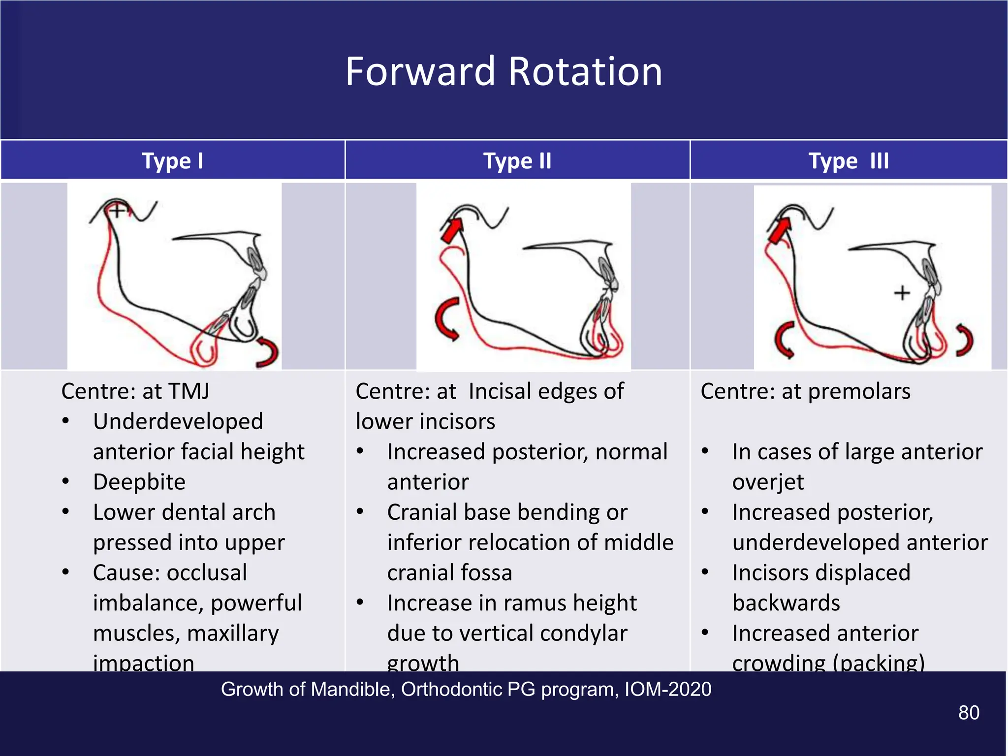 the Growth-of-Mandible in orthodontics ppt | PPT