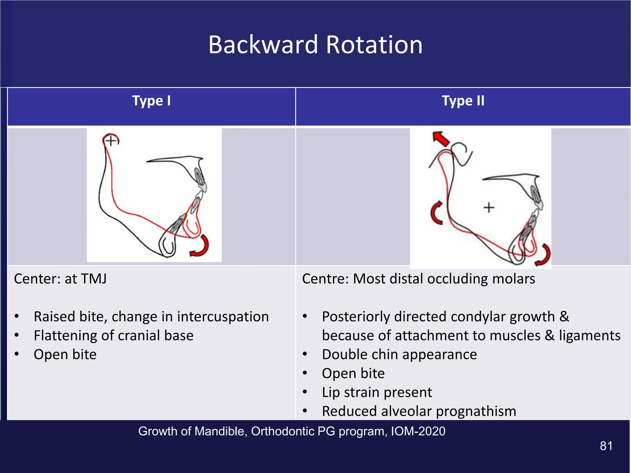 the Growth-of-Mandible in orthodontics ppt | PPT