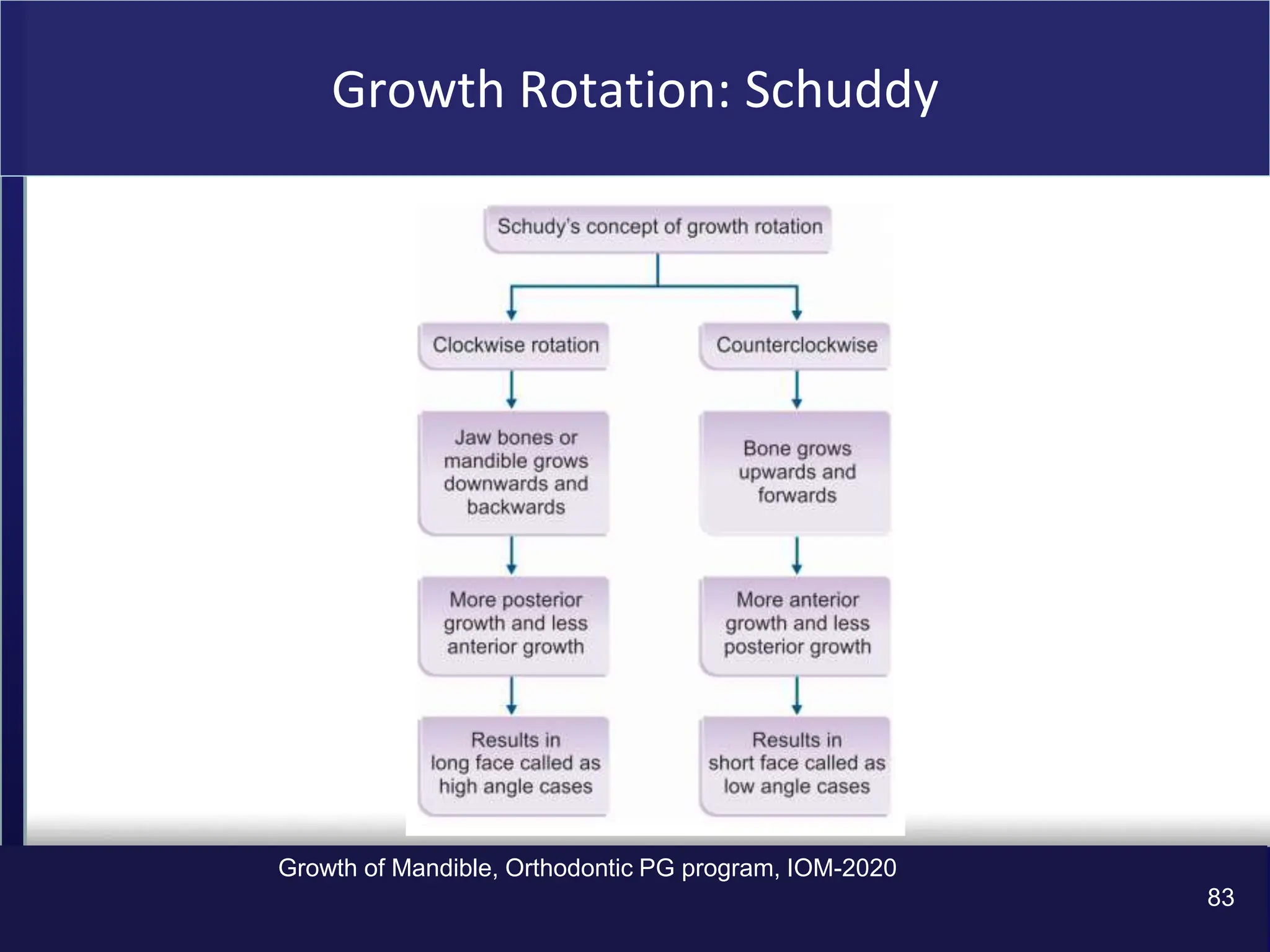 the Growth-of-Mandible in orthodontics ppt | PPT