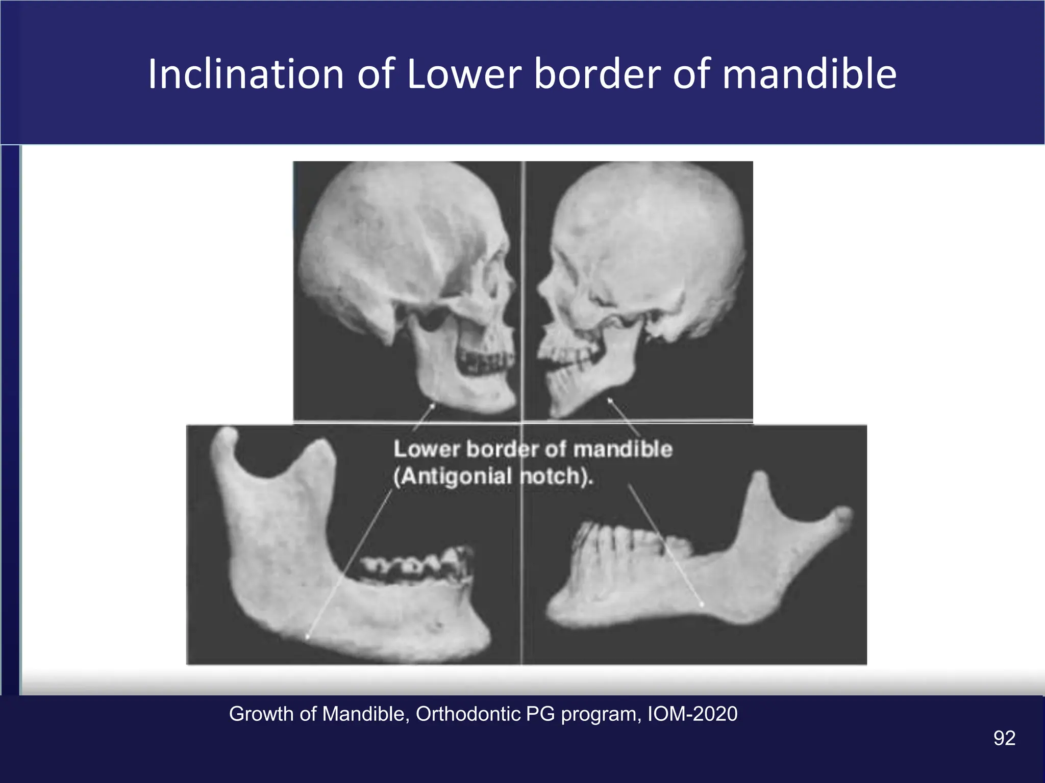 the Growth-of-Mandible in orthodontics ppt | PPT