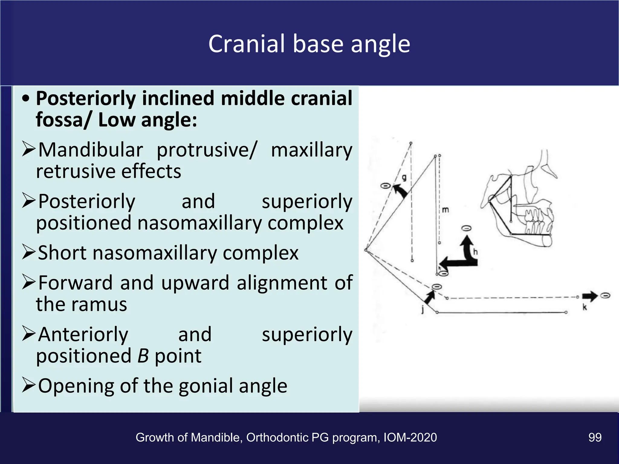 the Growth-of-Mandible in orthodontics ppt | PPT