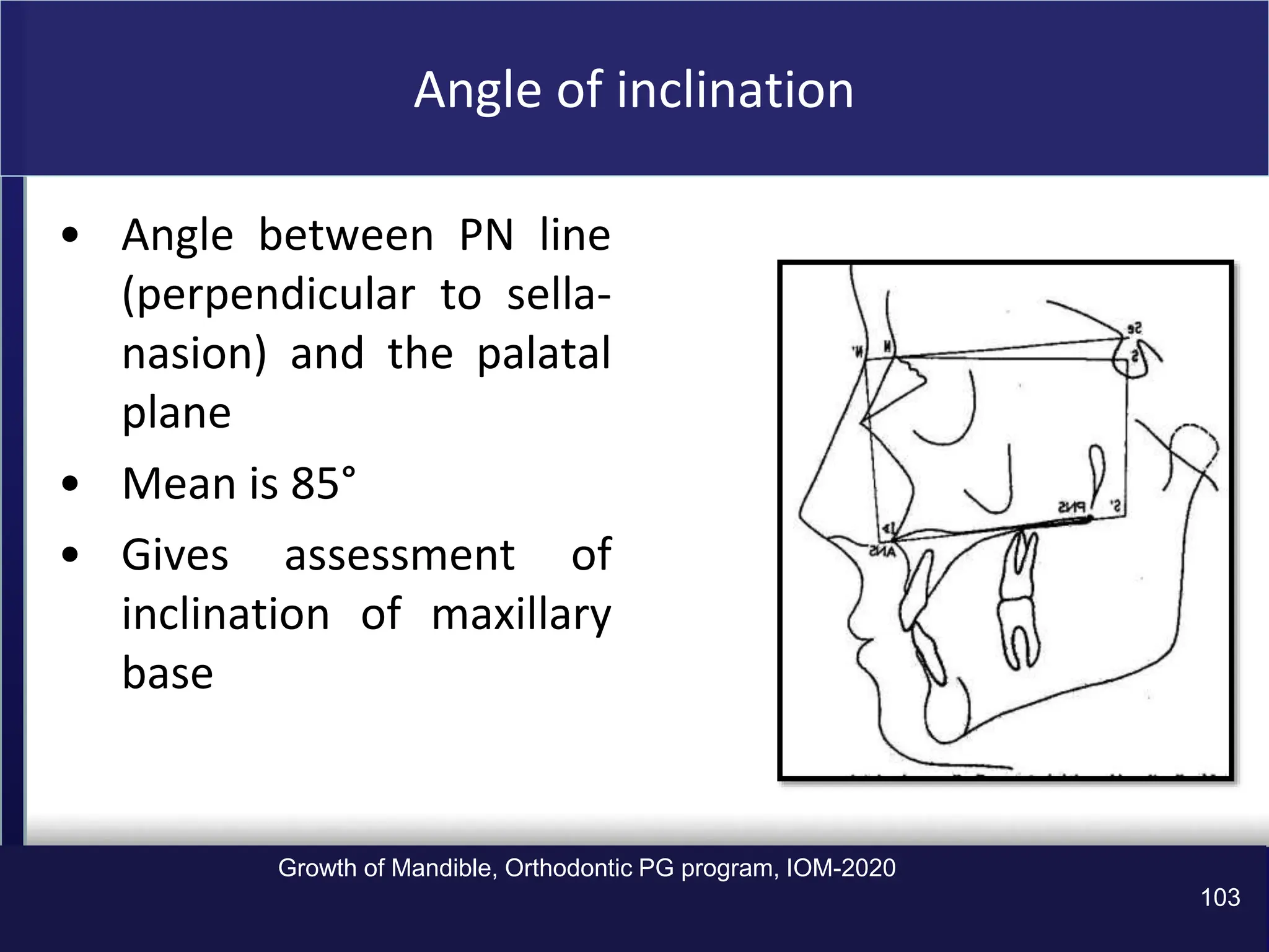 the Growth-of-Mandible in orthodontics ppt | PPT