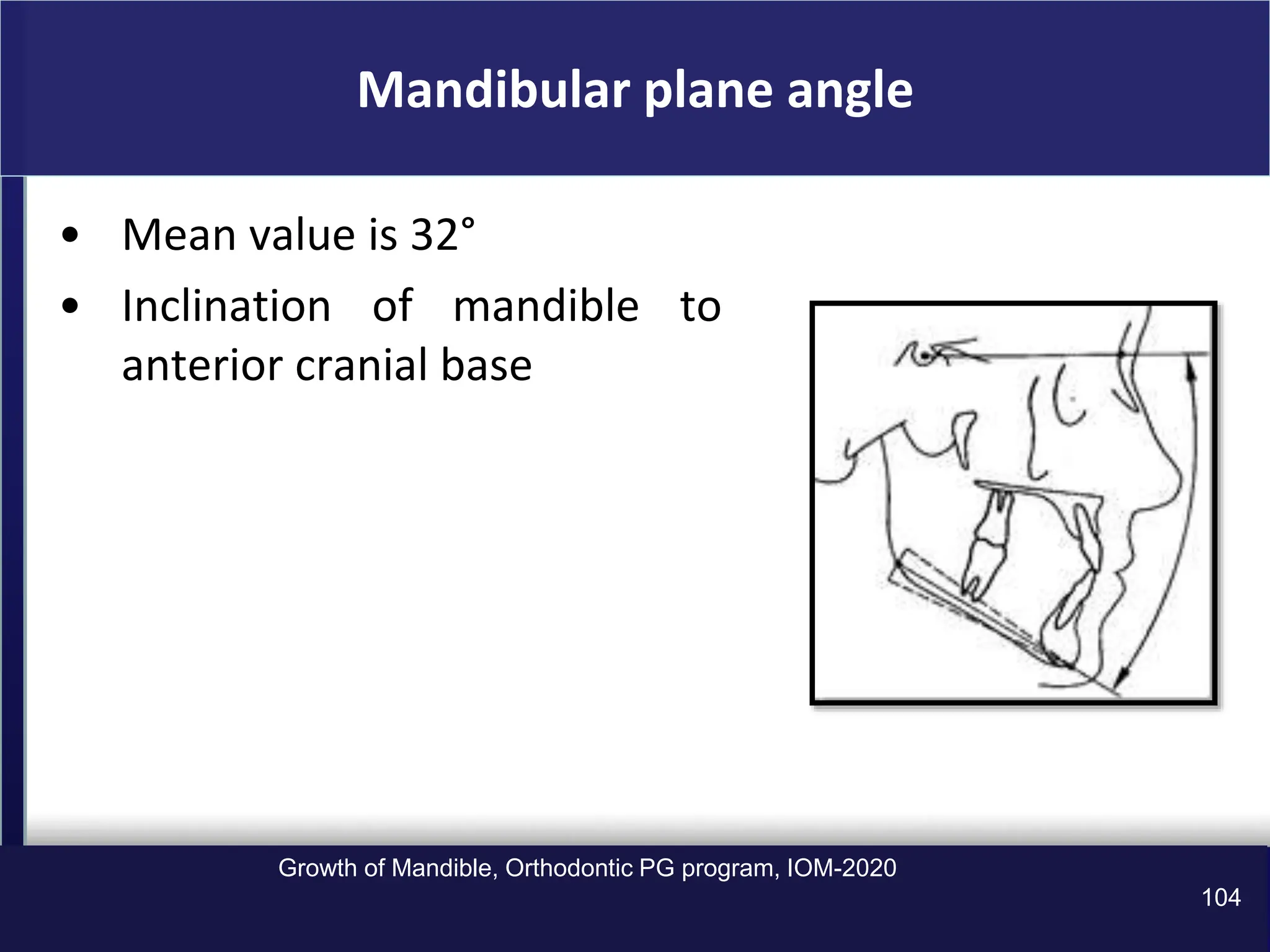 the Growth-of-Mandible in orthodontics ppt | PPT