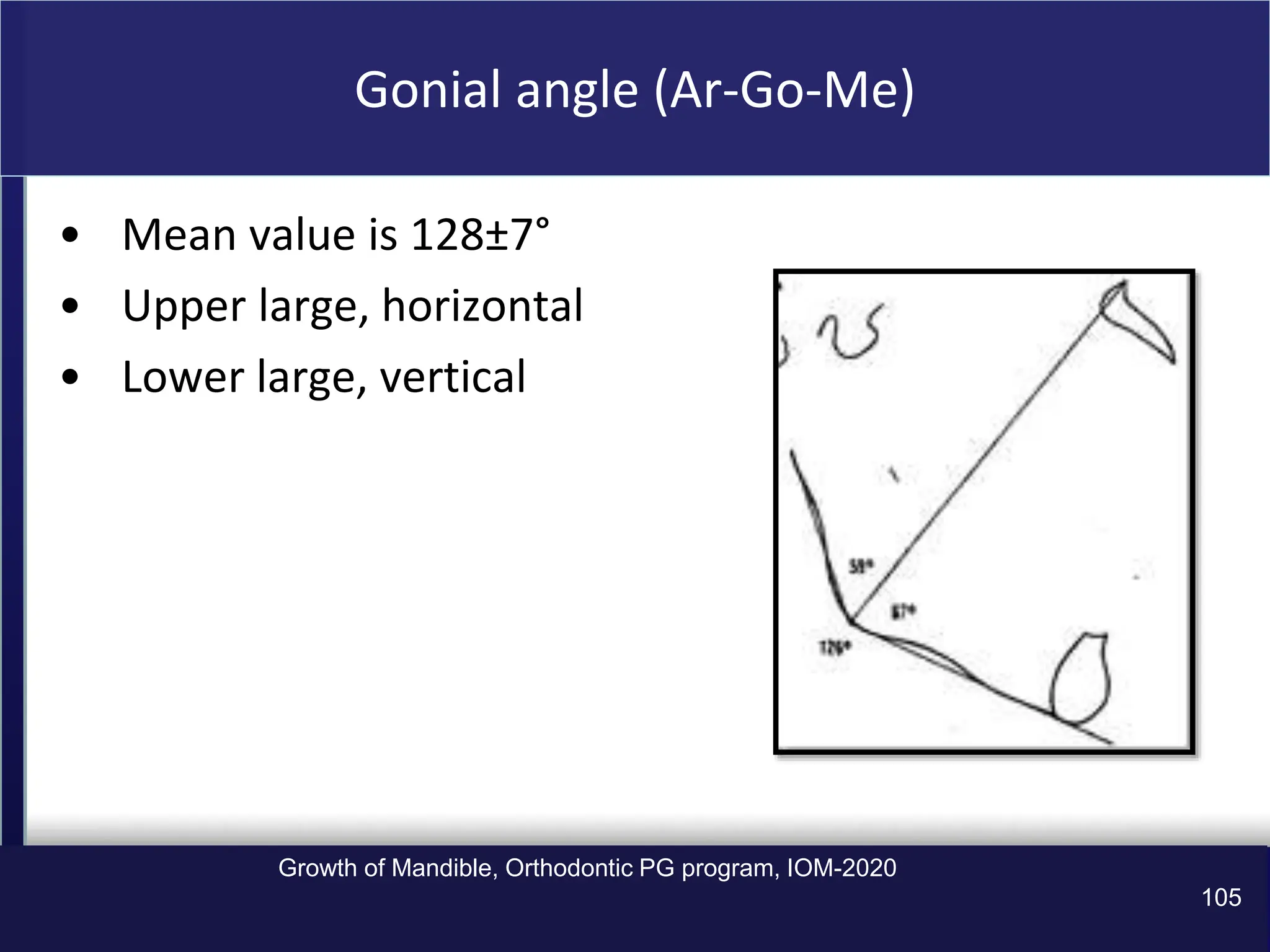 the Growth-of-Mandible in orthodontics ppt | PPT