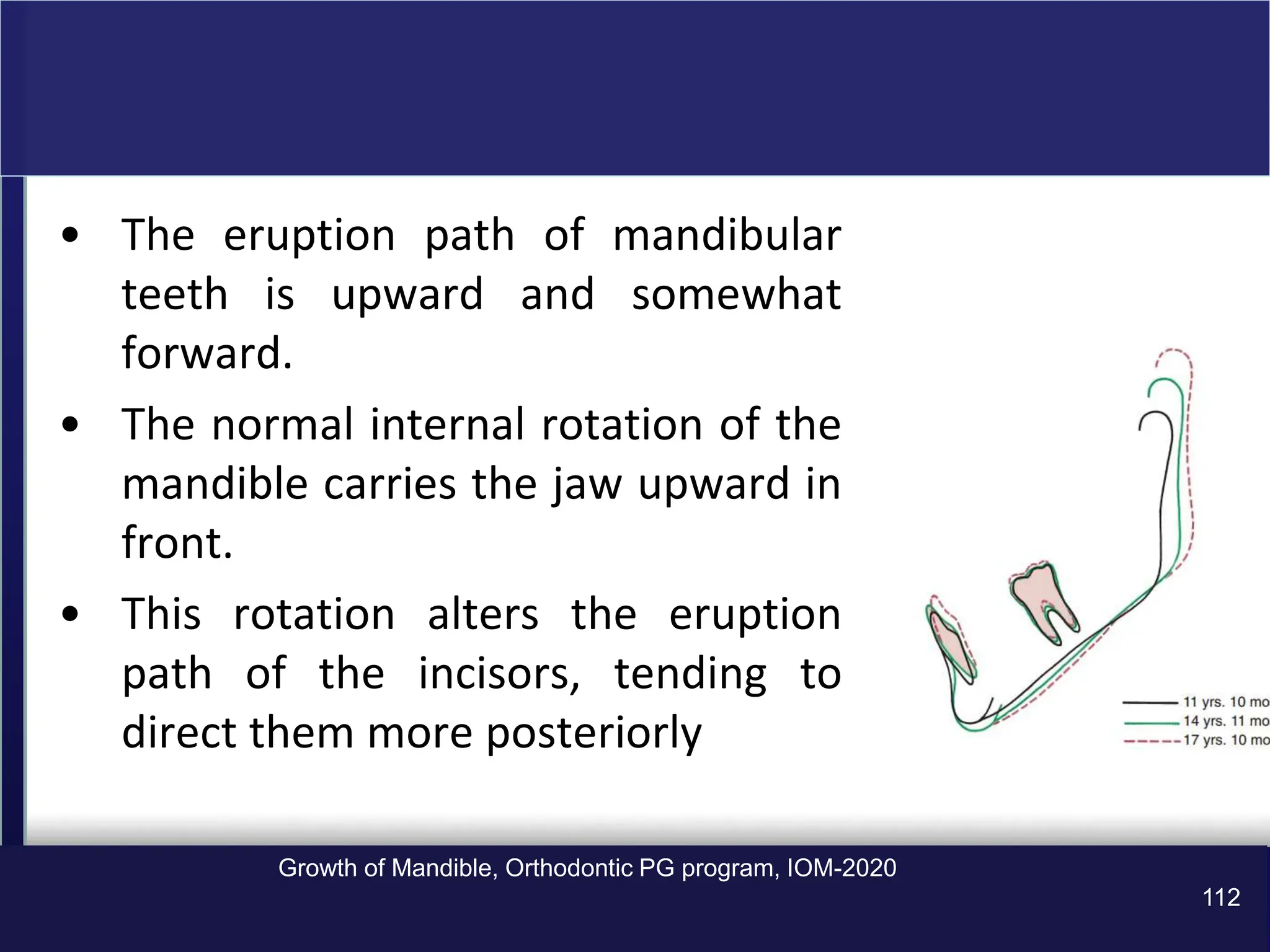the Growth-of-Mandible in orthodontics ppt | PPT