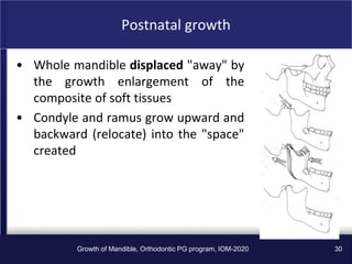 the Growth-of-Mandible in orthodontics ppt | PPT