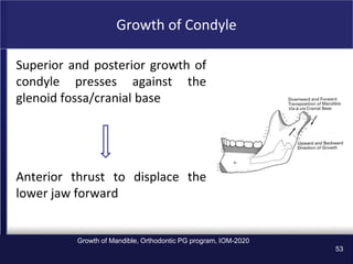 the Growth-of-Mandible in orthodontics ppt | PPT
