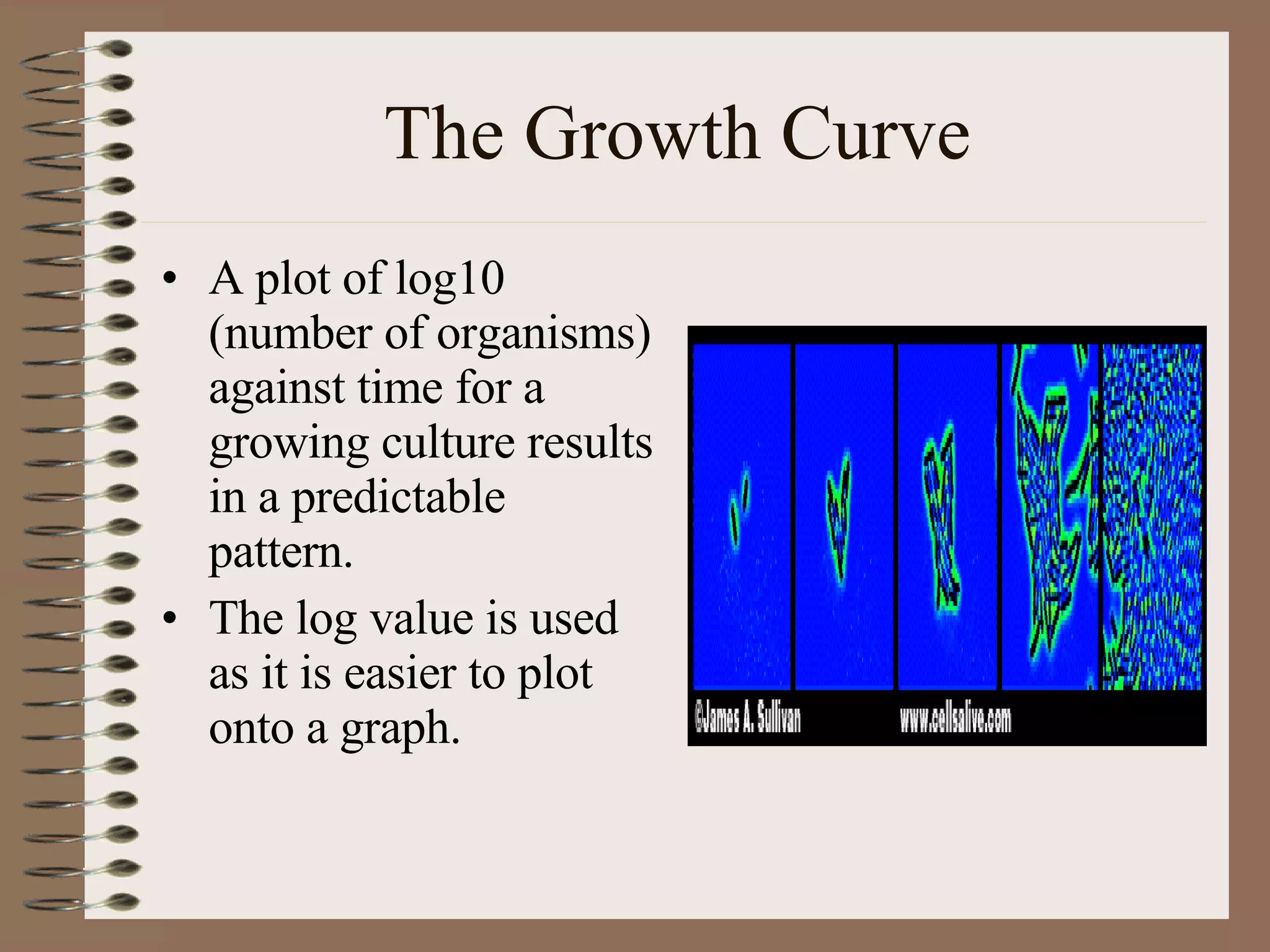 Growth Of Microorganisms | PPT