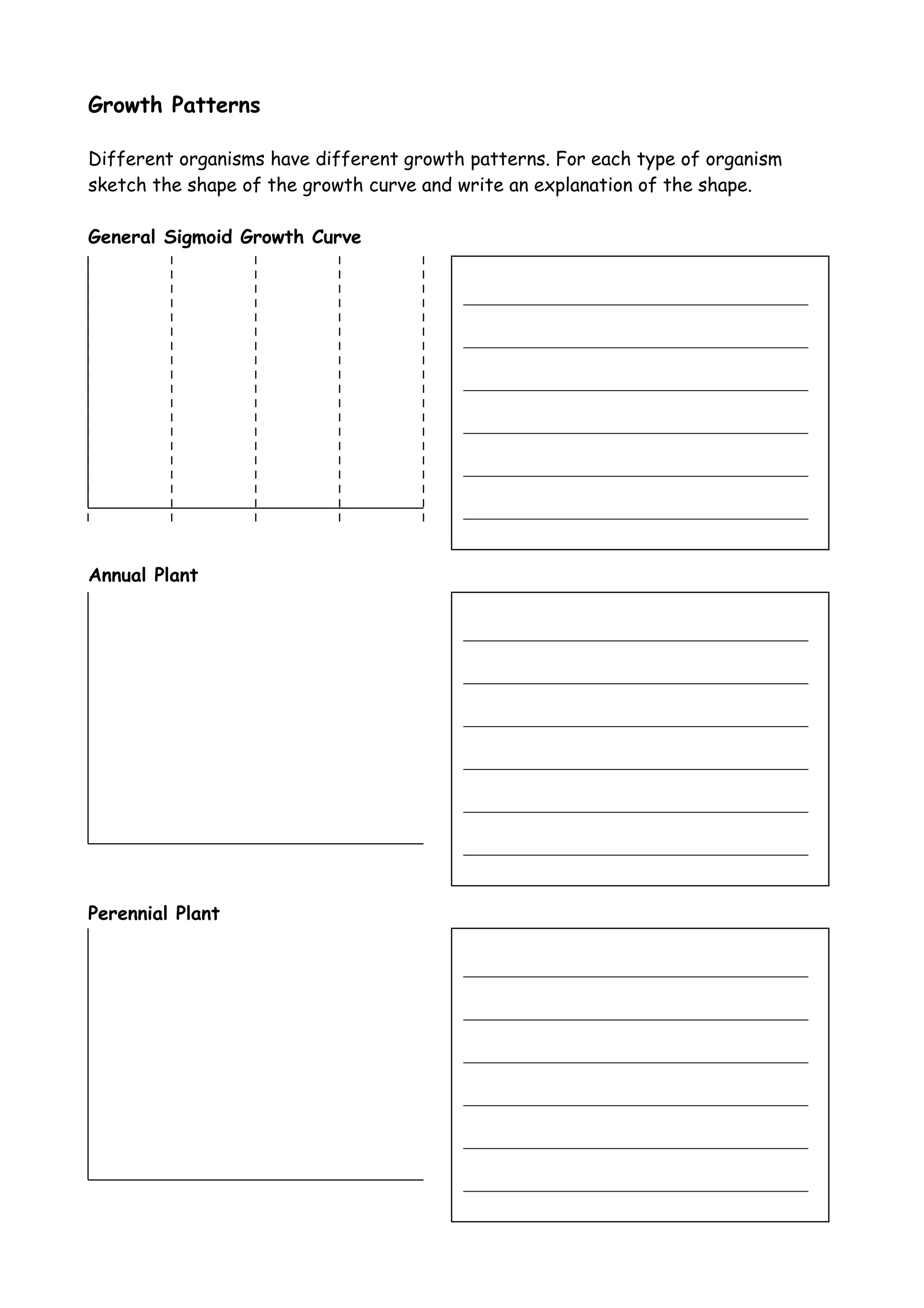 Growth Patterns Worksheet | DOC | Biological Sciences | Science