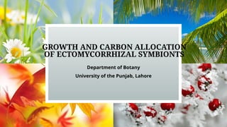 Growth and Carbon Allocation in Plants.PPTX
