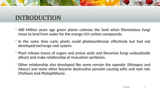 Growth and Carbon Allocation in Plants.PPTX