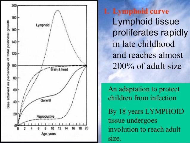 Growth and development,Dr.Lise Rose Tom