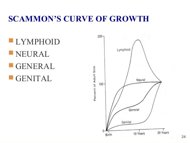 Growth And Development