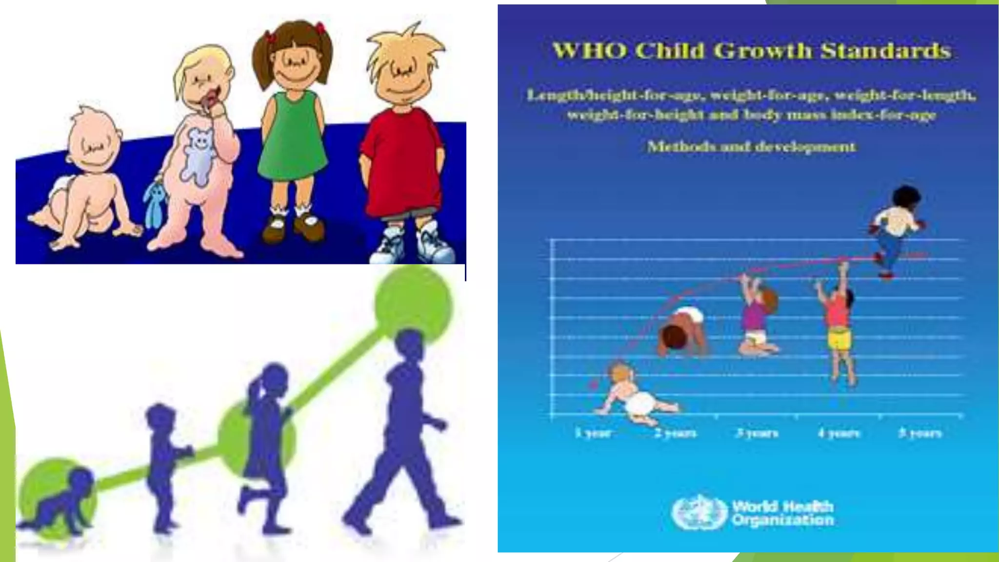 Growth and development | PPTX