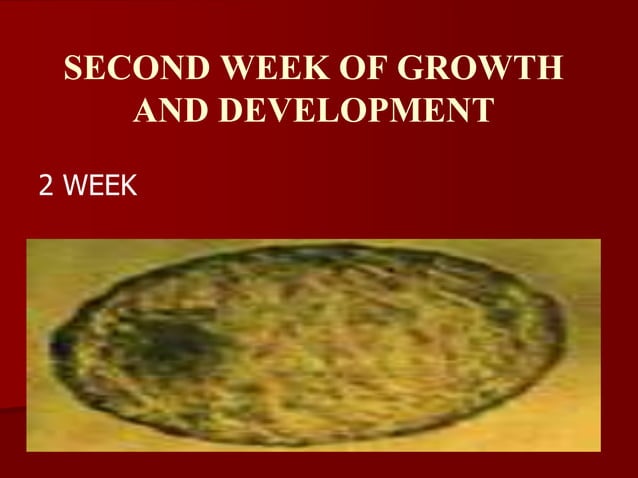 Growth and Development | PPT