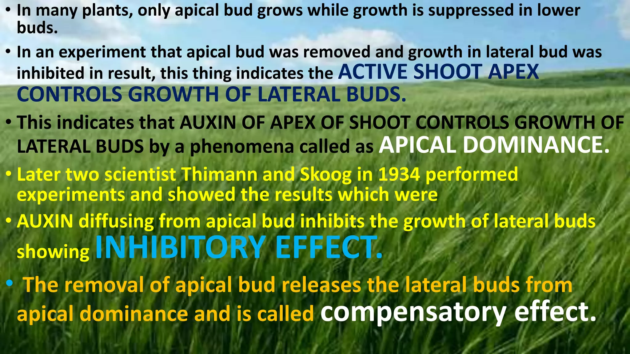 Growth and development in Plants and Animals | PPTX